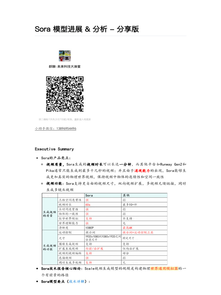 Sora 模型最新进展 & 分析 - 最全分享版 | PDF