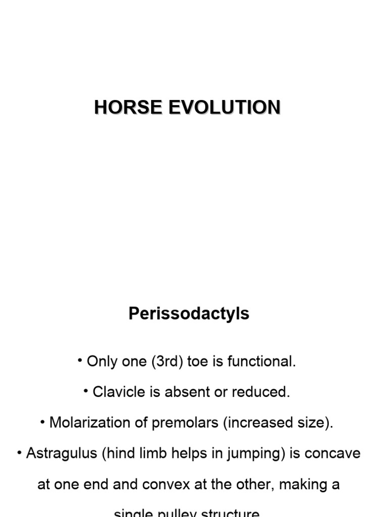 Horse Evolution | PDF | Horses | Mammals