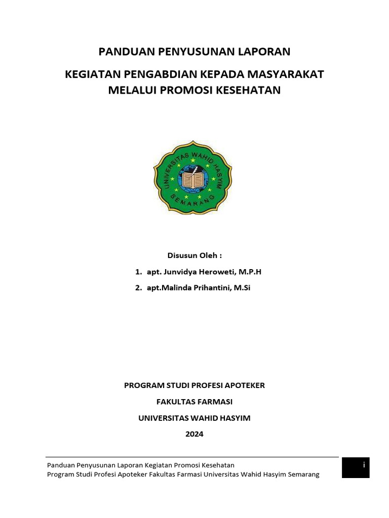Panduan Laporan Promkes | PDF
