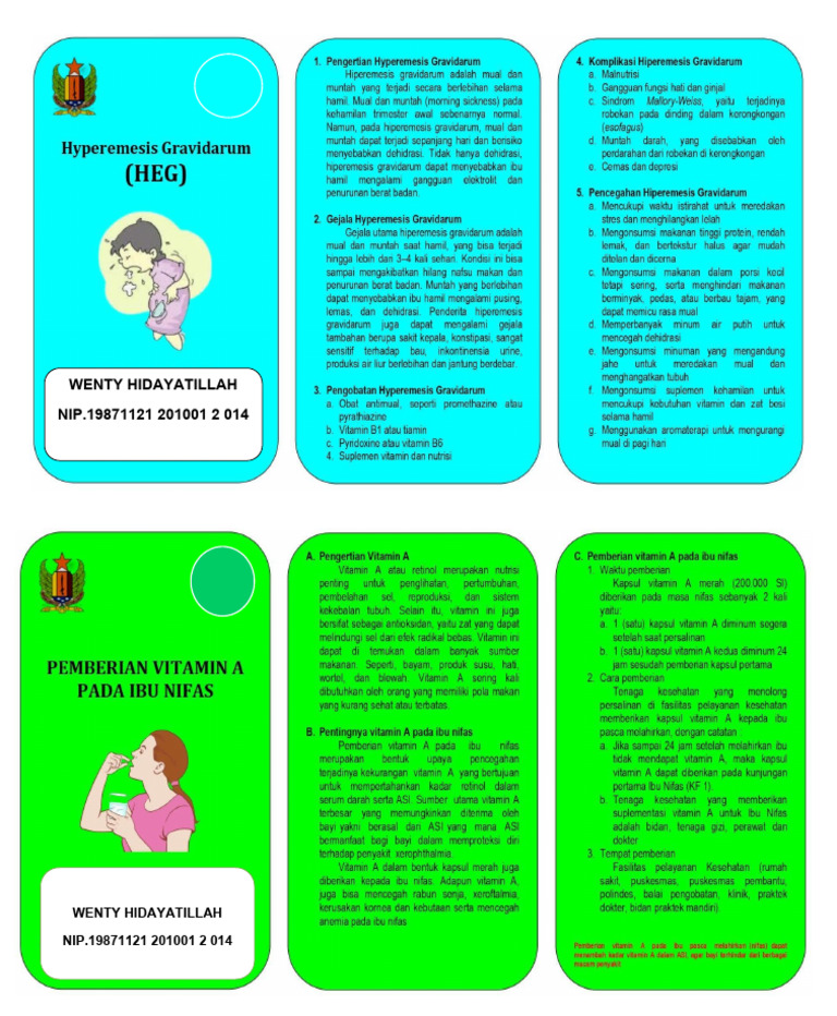 leaflet vit a & heg | PDF