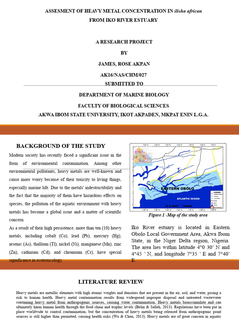 Rose Presentation | PDF | Pollution | Lead