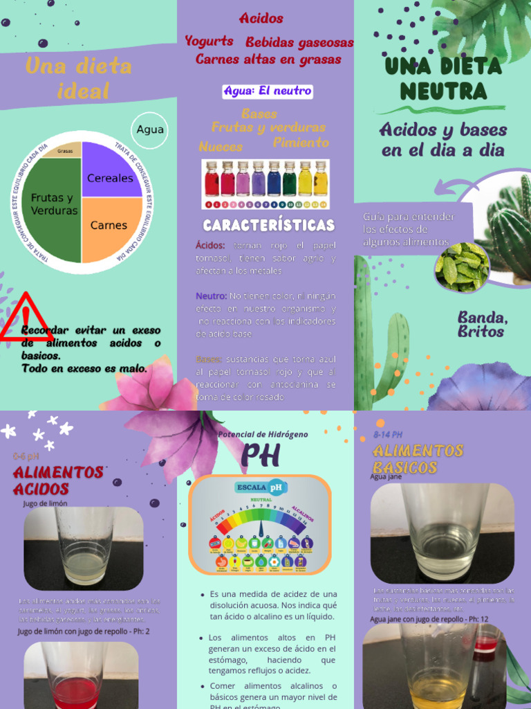 Una Dieta Neutralizada | PDF | Salud y bienestar
