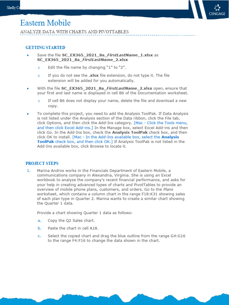 Instructions SC EX365 2021 8a | PDF | Microsoft Excel | Software Engineering