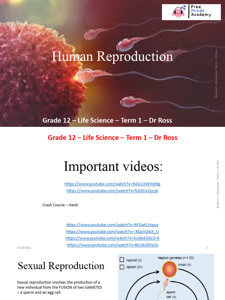 8 - Human Reproduction - G12 - G12 - DR Ross-1 | PDF | Meiosis | Sexual ...