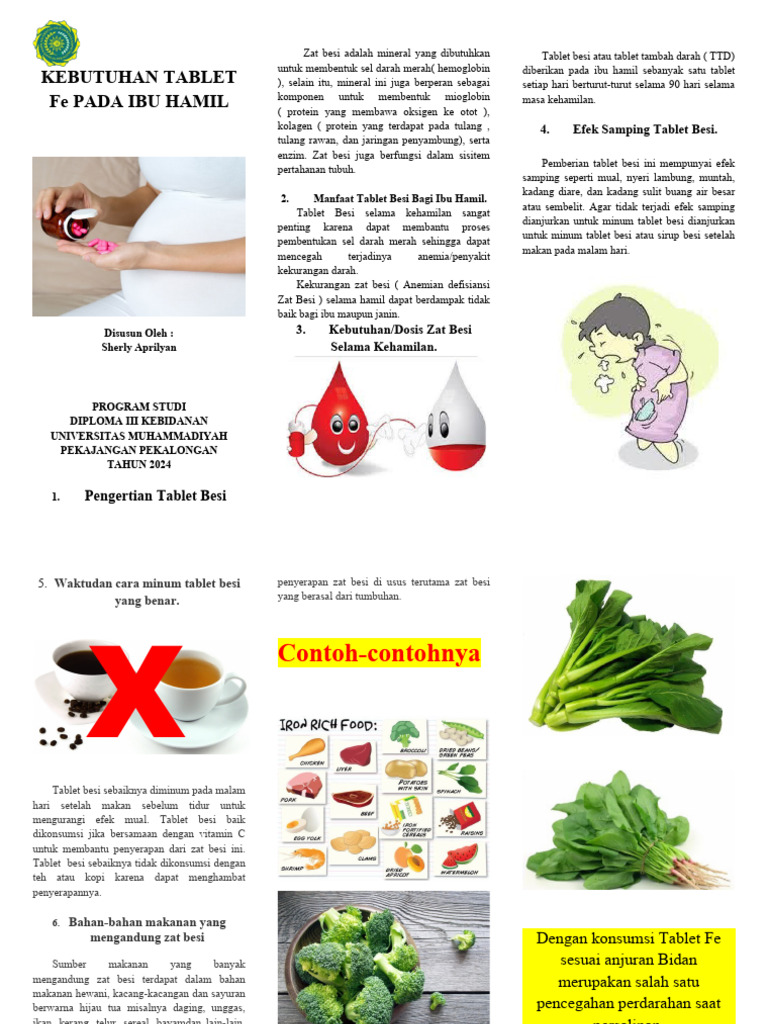 Leafleat Tablet Fe | PDF