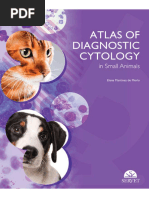 Cyniclomyces Guttulatus | PDF | Pathology | Dogs