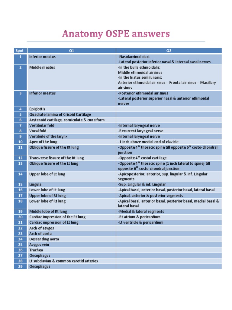 Anatomy OSPE Exam Questions Guide | PDF | Lung | Vertebra
