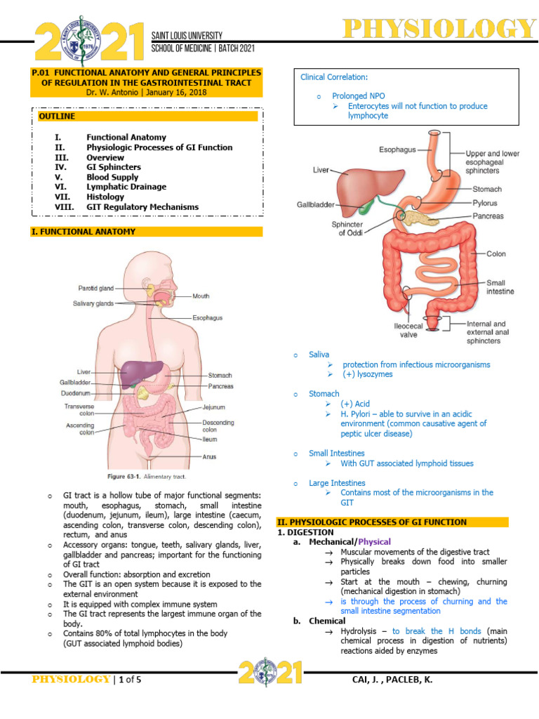 p.01 Functional Anatomy and General Principles of Regulation in the ...