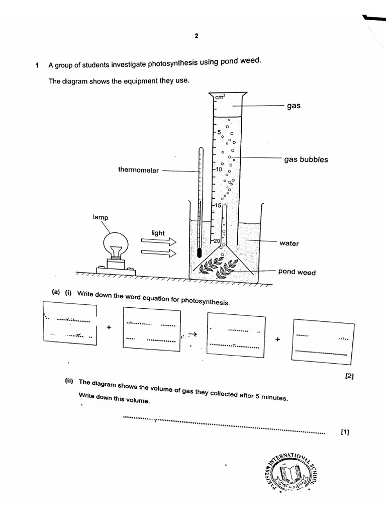 Y8 Science Mid p1 Unsolved | PDF