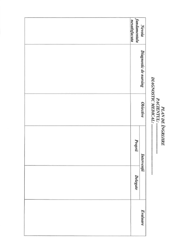Tabel-Plan Ingrijire | PDF