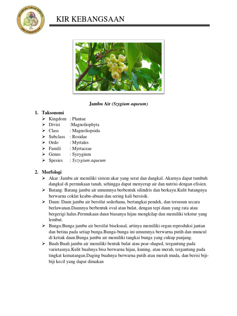 Taksonomi dan Morfologi Jambu Air | PDF