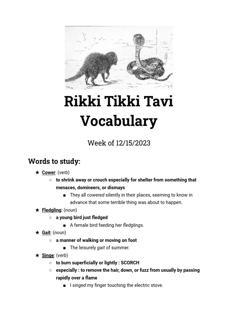 Rikki Tikki Vocabulary Study Guide - Student | PDF