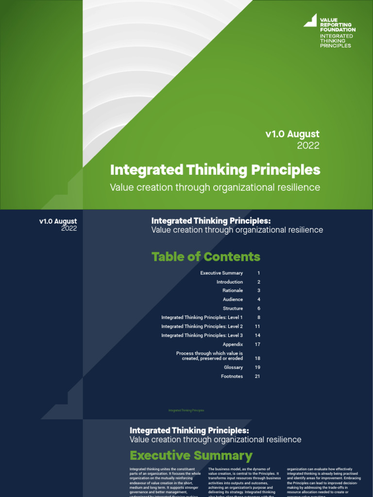 Integrated Thinking Principles | PDF | Strategic Management | Governance