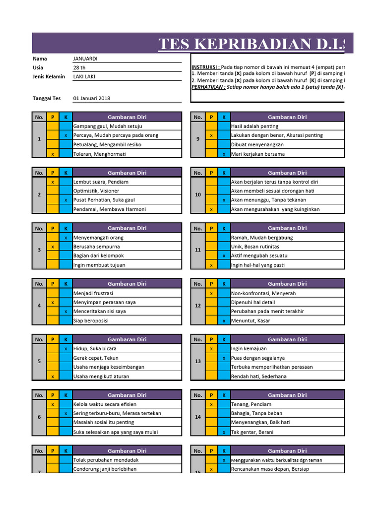 Contoh Pengisian DISC TEST SOFTWARE | PDF
