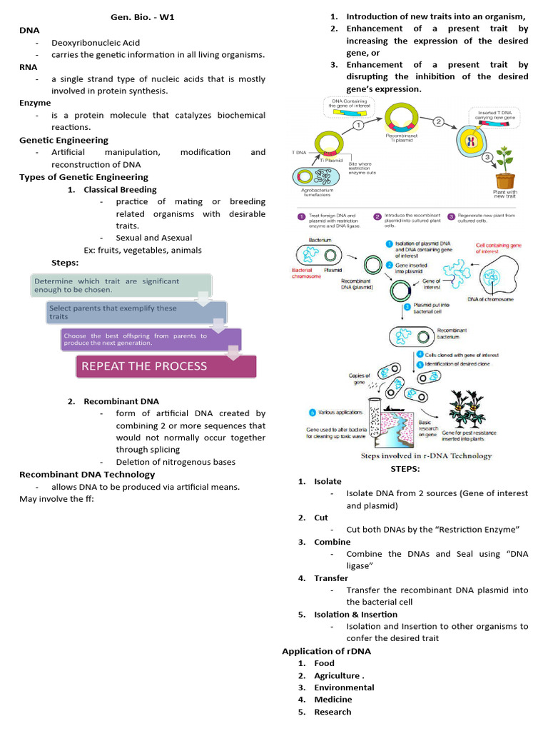 Gen Bio-Q1 | PDF | Dna | Evolution