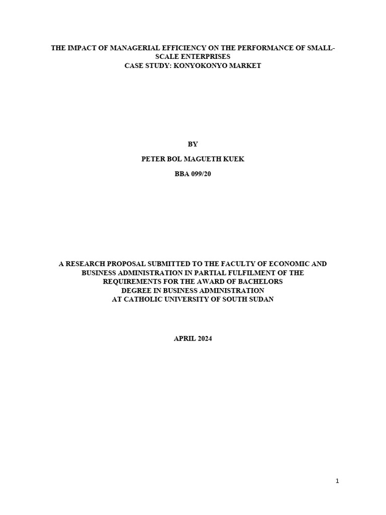 Managerial Efficiency in SSEs | PDF | Small And Medium Sized Enterprises | Microfinance