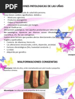 Guía sobre Cromoniquia y Alteraciones Ungueales | PDF | Clavo (anatomía ...