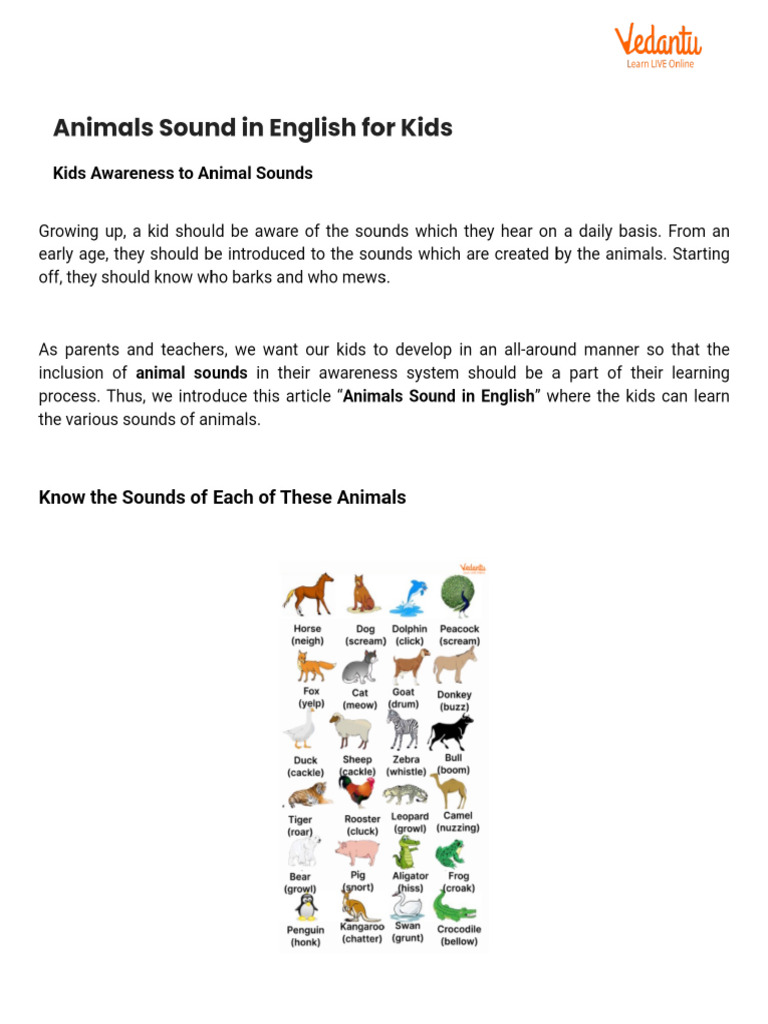 Animals Sound in English For Kids | PDF