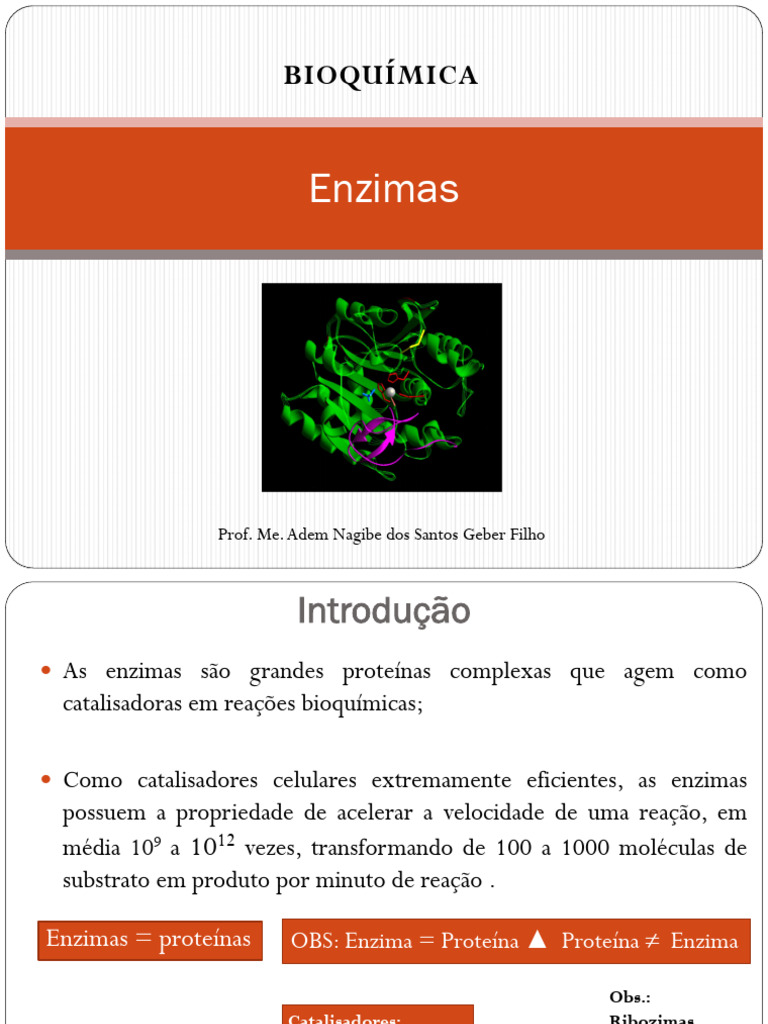 Aula 5 - Enzimas | PDF | Enzima | Inibidor de enzimas
