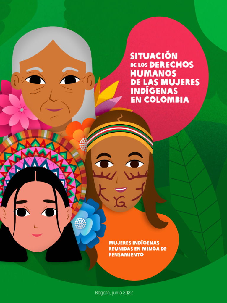 Informe Situacion De Los Derechos Humanos De Las Mujeres Indigenas En