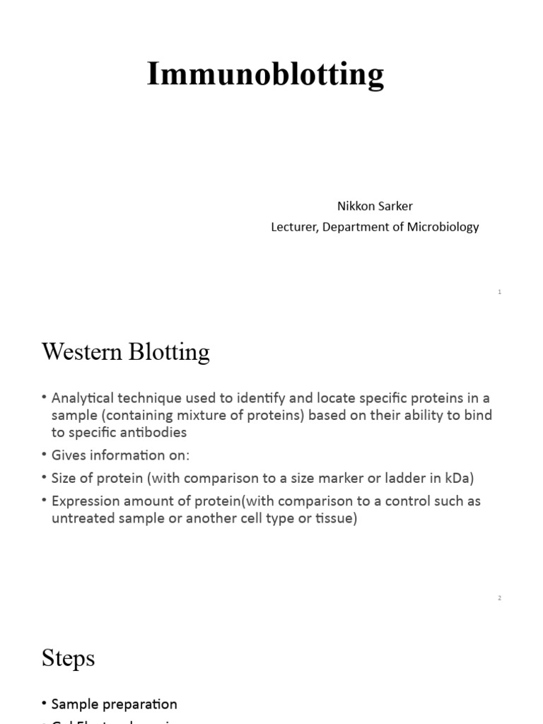 Western Blotting | PDF | Western Blot | Gel Electrophoresis