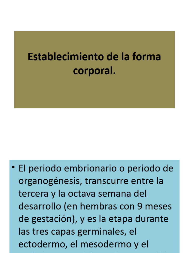 E Stable Cimiento Del A Form A Corporal | PDF | Anatomía | Biología del ...