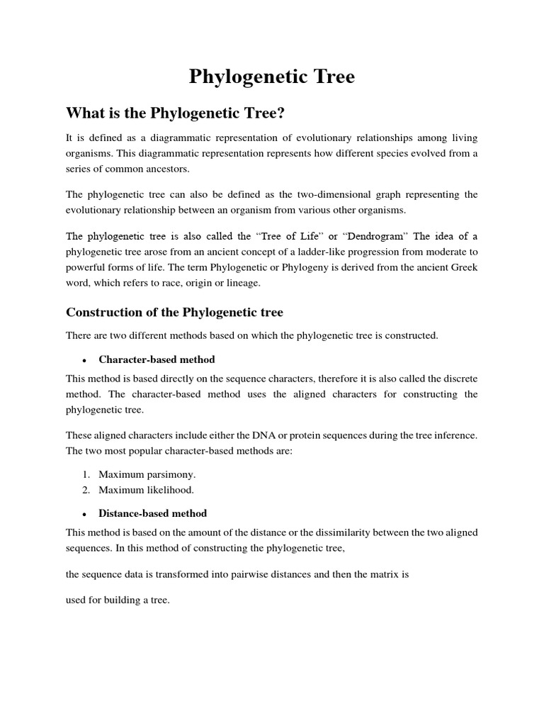 Phylogenetic Tree | PDF | Phylogenetic Tree | Phylogenetics