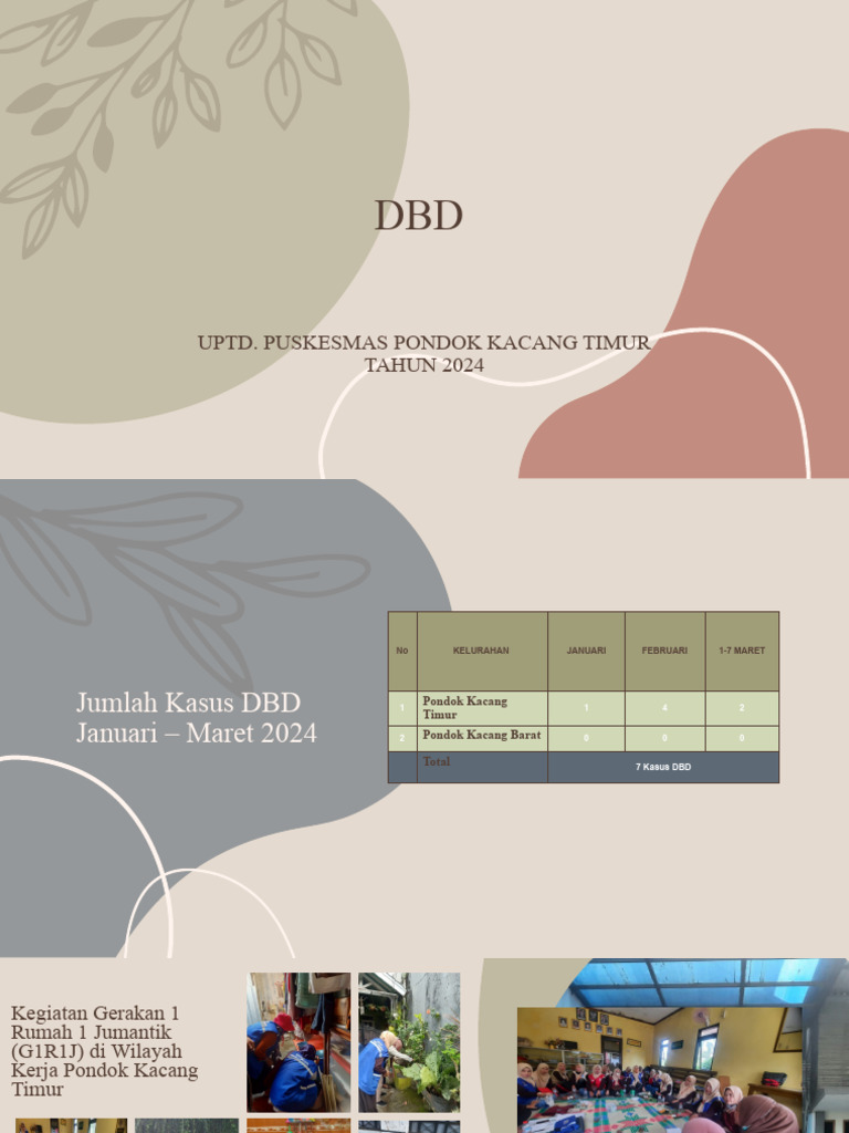 PPT DBD 2024 | PDF