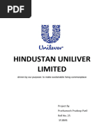 Hul Logo Evolution | PDF | Foods | Unilever