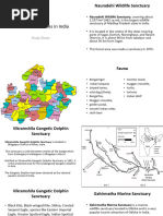 Daily Bing Rewards Activities Summary | PDF