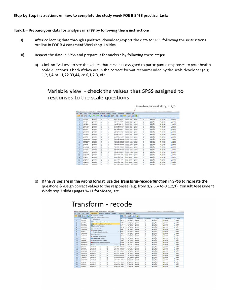 SEM2 2023-2024 - Sep-By-Step Instructions For Data Analysis - FOE B Study Week SPSS Practice ...