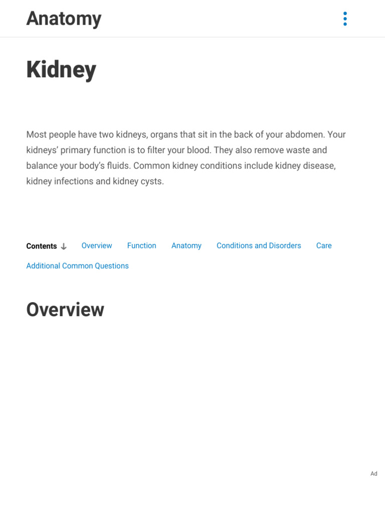 Kidneys_ Location, Anatomy, Function & Health | PDF | Kidney | Human Body
