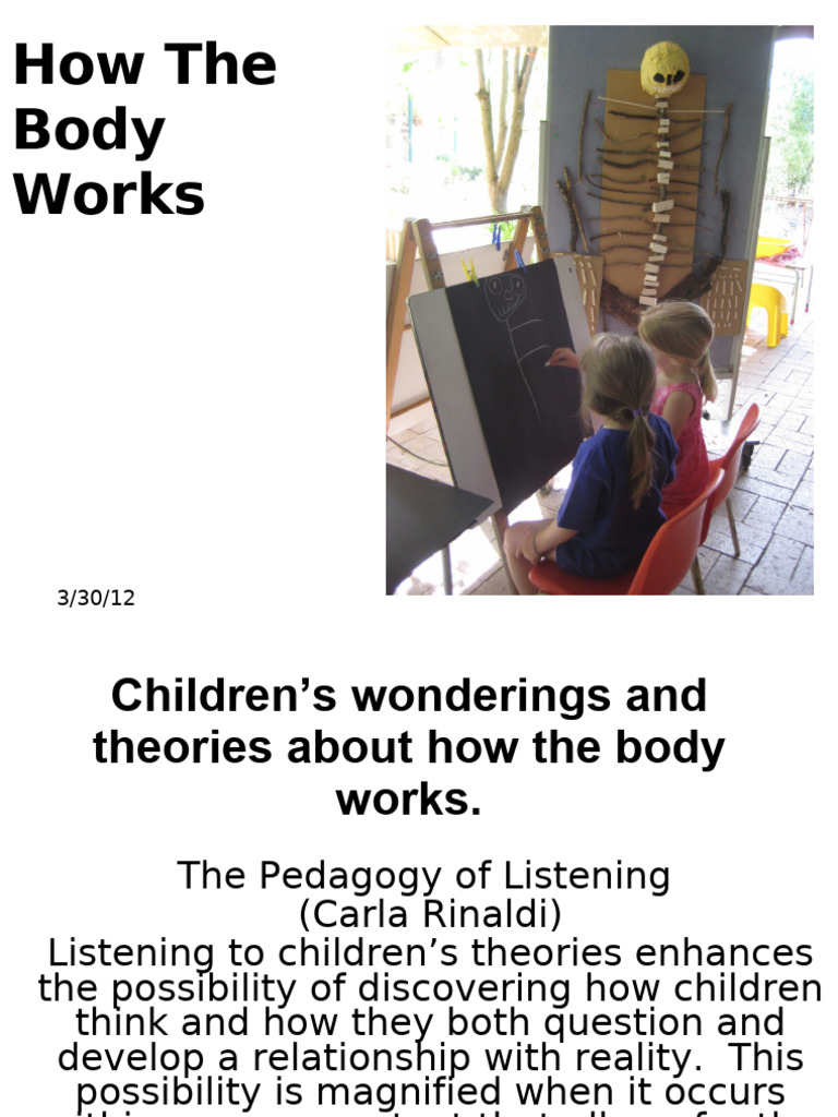 How The Body Works | PDF | Blood | Heart