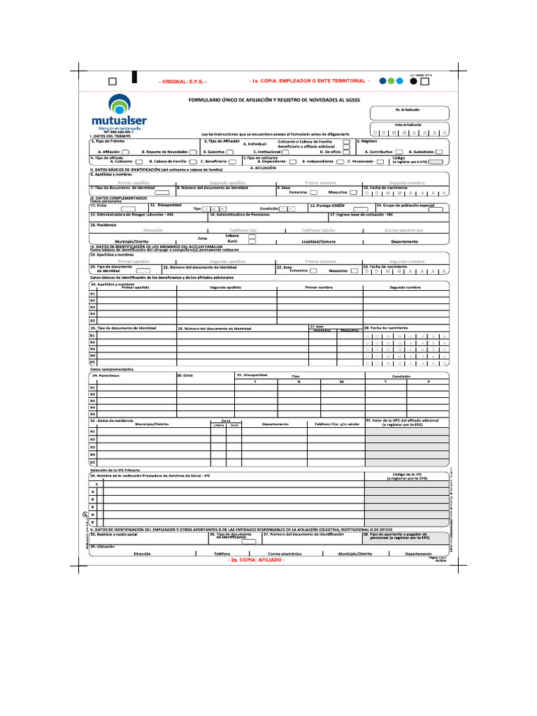 Formulario Unico .Nueva Imagen | PDF