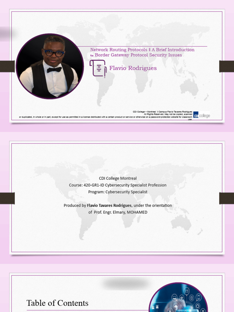 Network Routing Protocols Project Pdf Computer Network Internet Protocol Suite 