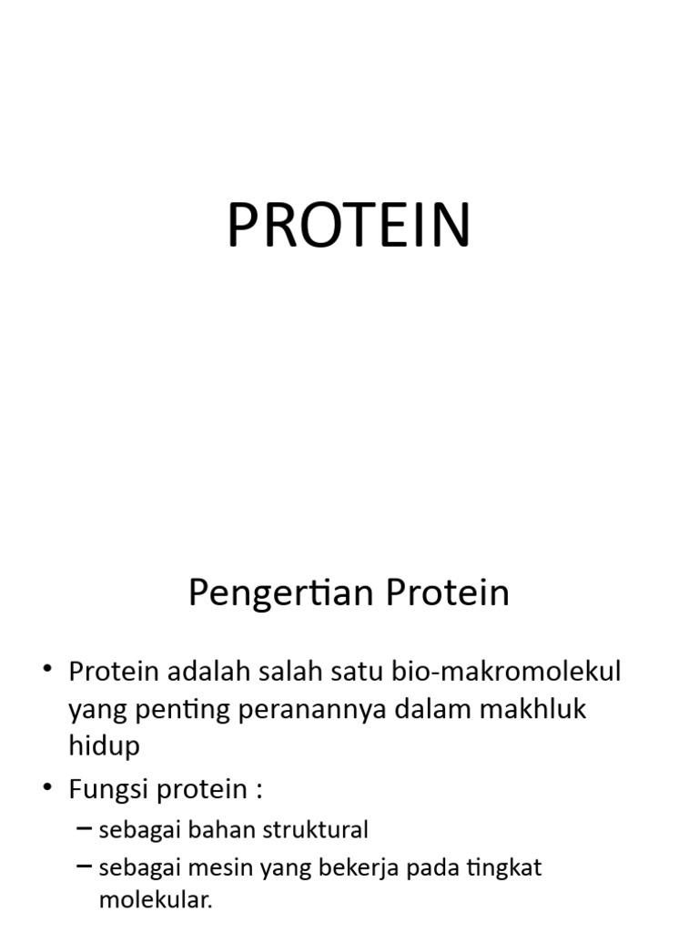 PROTEIN | PDF