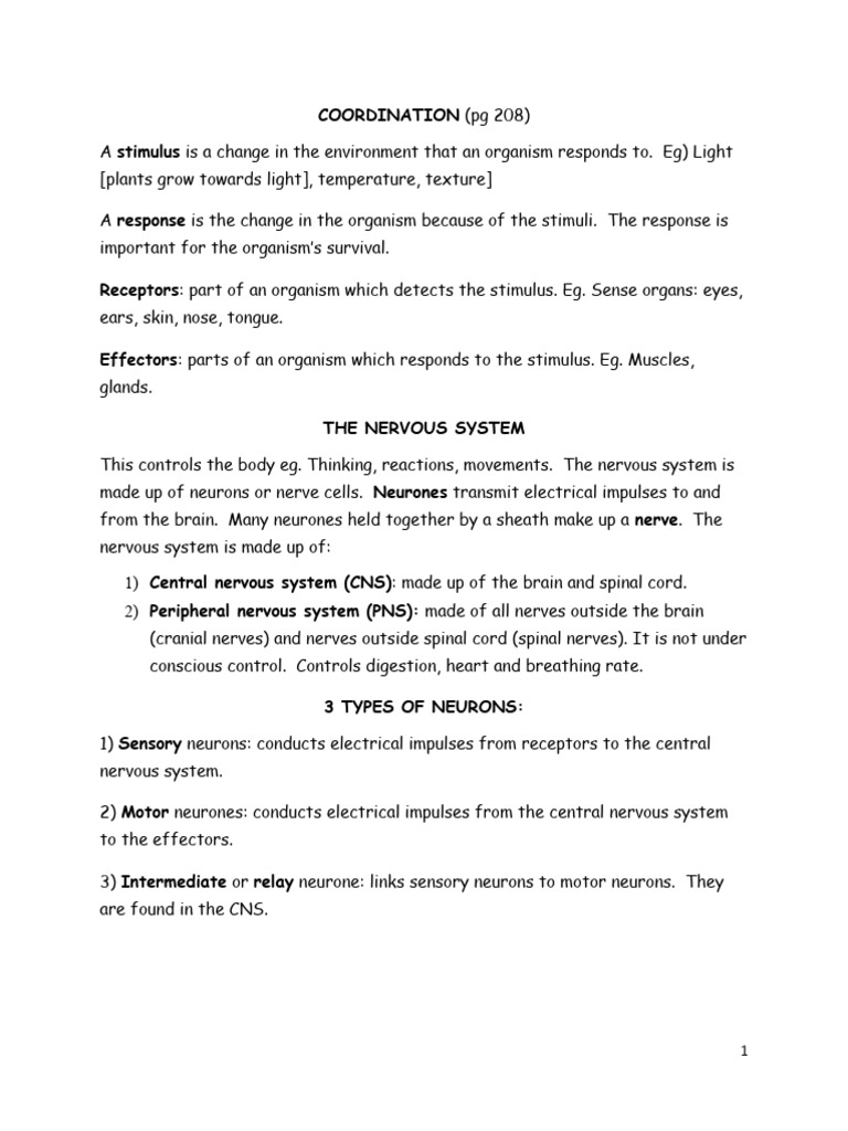 d)COORDINATION | PDF | Neuron | Nervous System