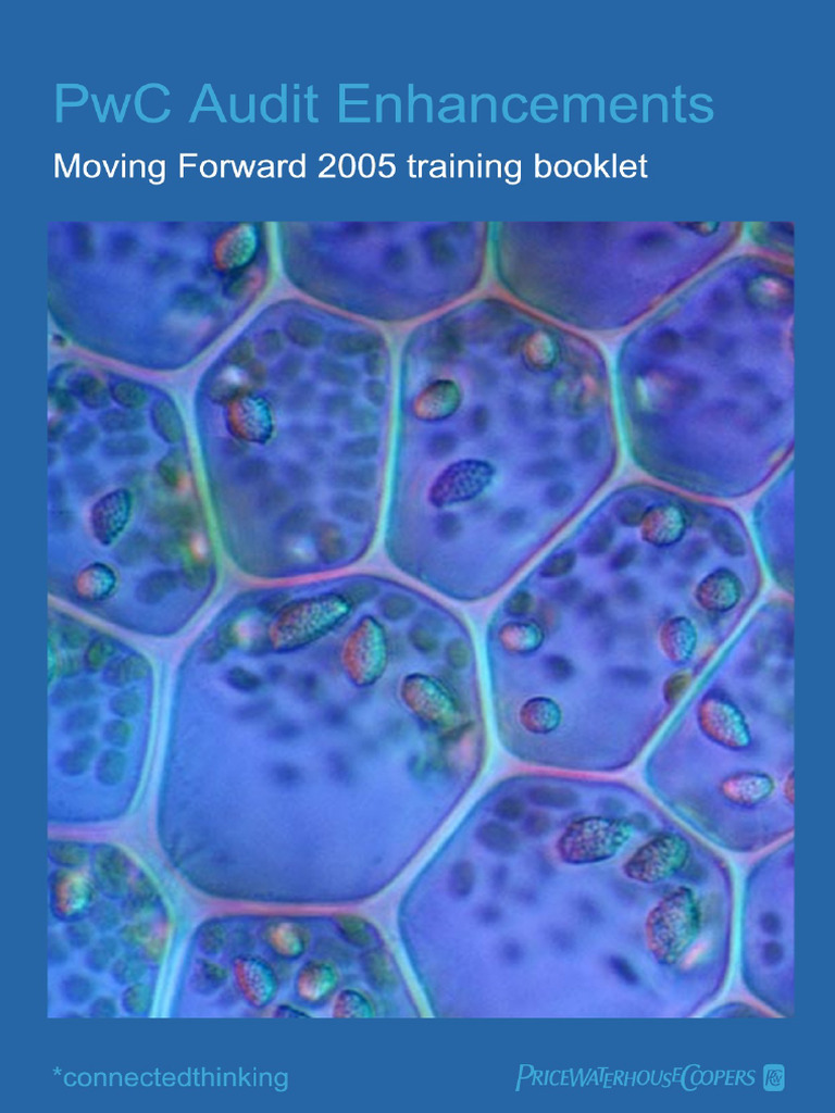 PWC Audit Enhancements - Moving Forward 2005 Training Book (Cells ...