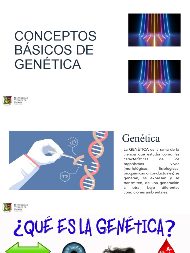 Unidad Cuatro Conceptos Básicos de Genética | Descargar gratis PDF | Rna | Adn