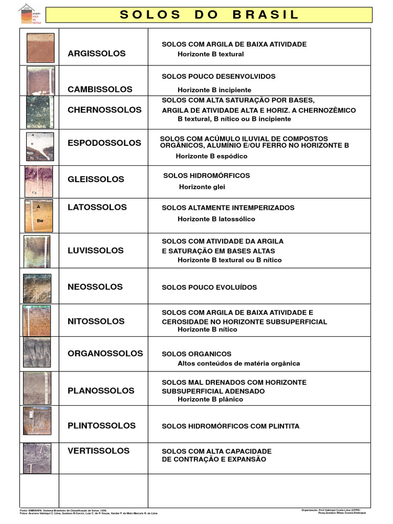 Tipos de Solos do Brasil | PDF | Solo | Jardinagem sustentável