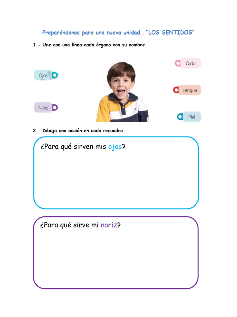 Introducción a La Unidad. LOS SENTIDOS | PDF