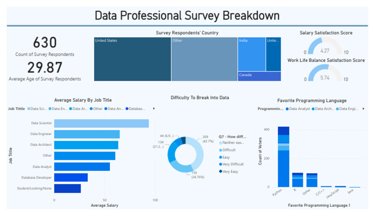 Data Professional Survey Insights | PDF