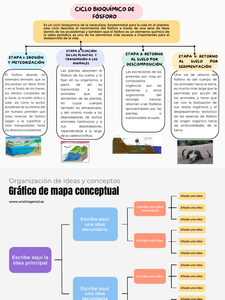 Colorful Simple Project Planning Concept Map Graph | Descargar gratis ...