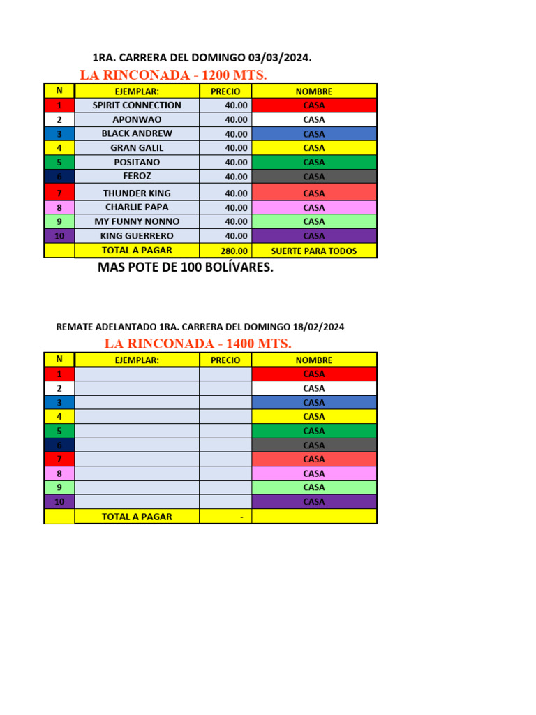 La Rinconada Domingo 18 - 02-24 | PDF
