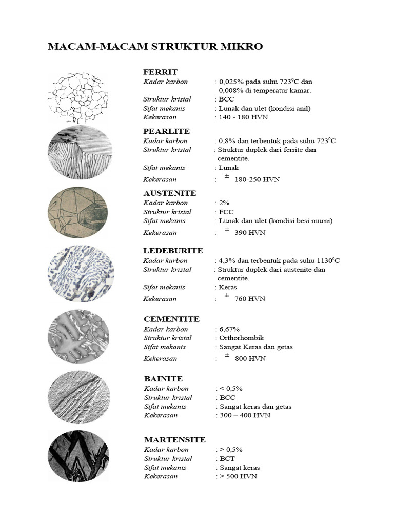 Macam Macam Struktur Mikro | PDF | Teknologi & Rekayasa