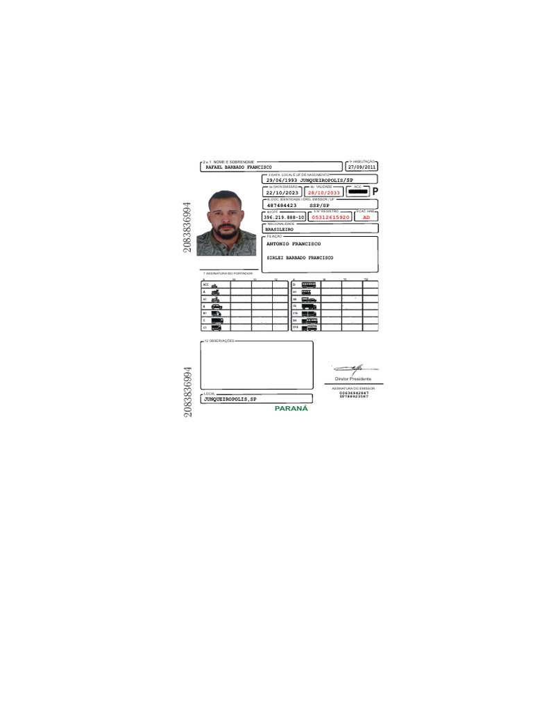 Modelo de CNH Editável 2024 | PDF