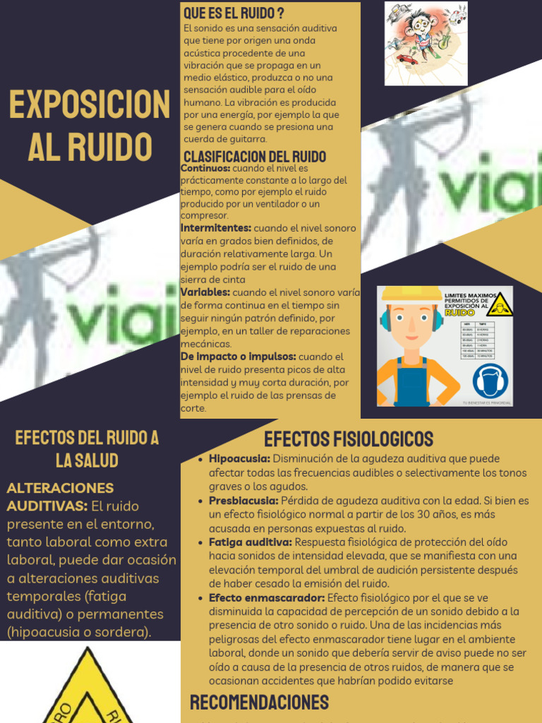 Exposicion Al Ruido | PDF
