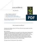 Types and Effects of Nectar in BSS | PDF | Bees | Beekeeping
