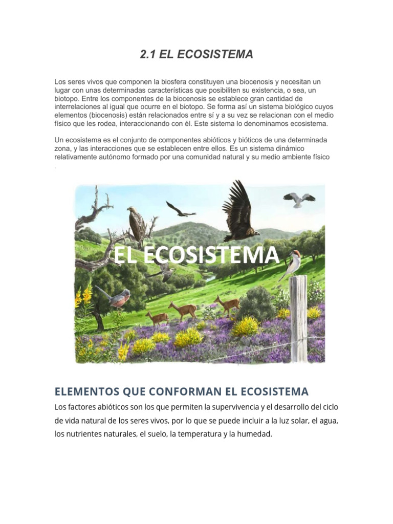 El Ecosistema | PDF | Ecosistema | Organismos