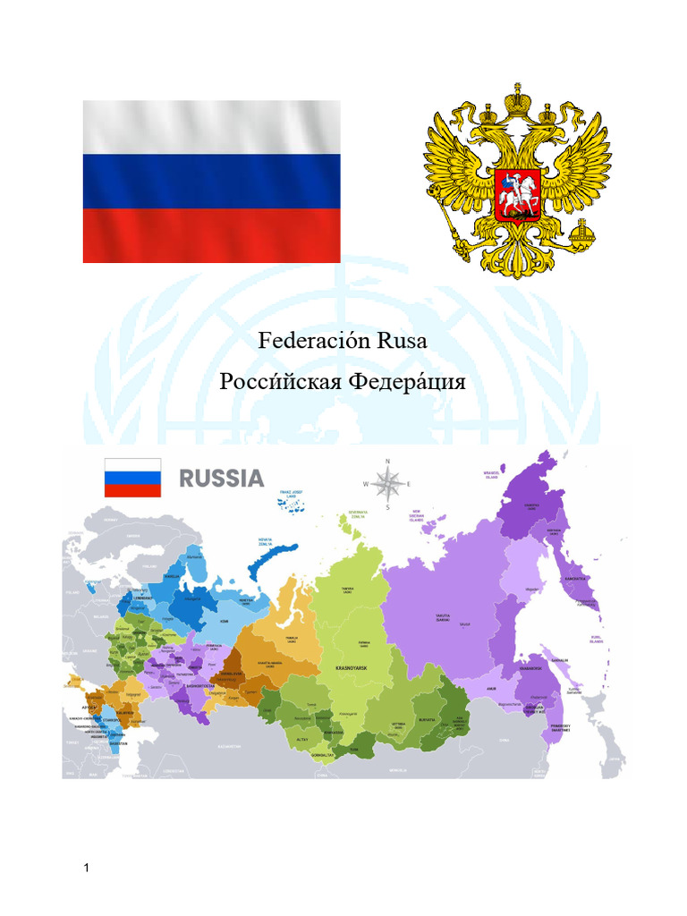 Position Paper Rusia | PDF | Rusia | Política mundial